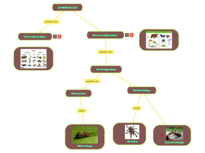 ANIMALES - Mind Map